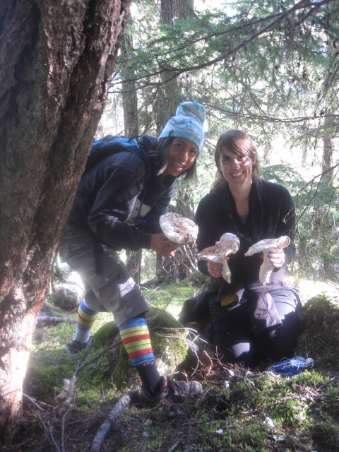 Matsutake - Vancouver, BC | Swallow Tail Culinary Adventures