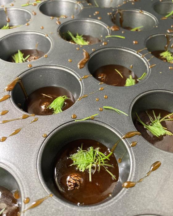 Swallow Tail Menus - Vancouver, BC | Swallow Tail